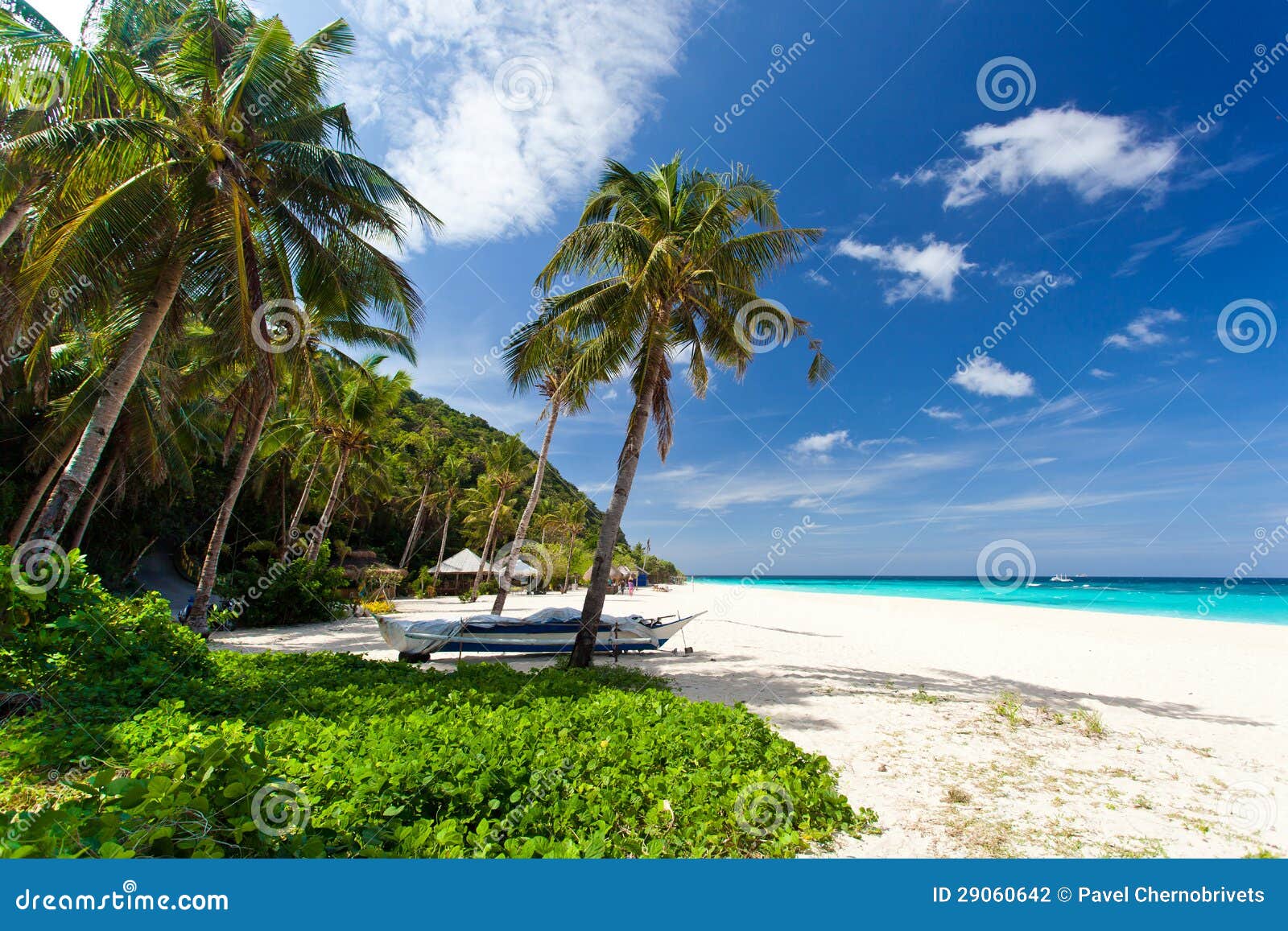Tropical scene stock photo. Image of ocean, lagoon, hawaii - 29060642