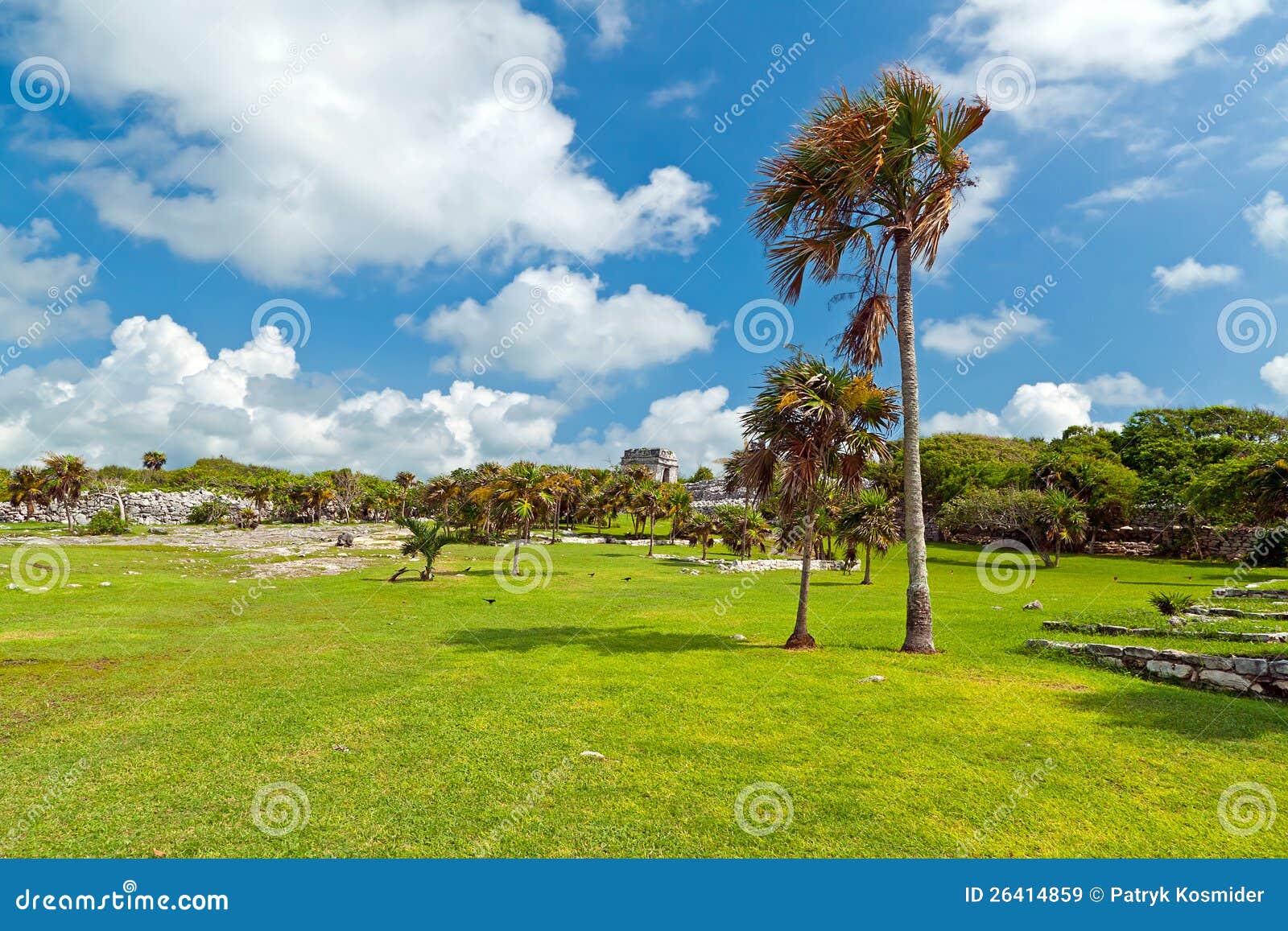 Tropical Scenery of Tulum in Mexico Stock Image - Image of america ...