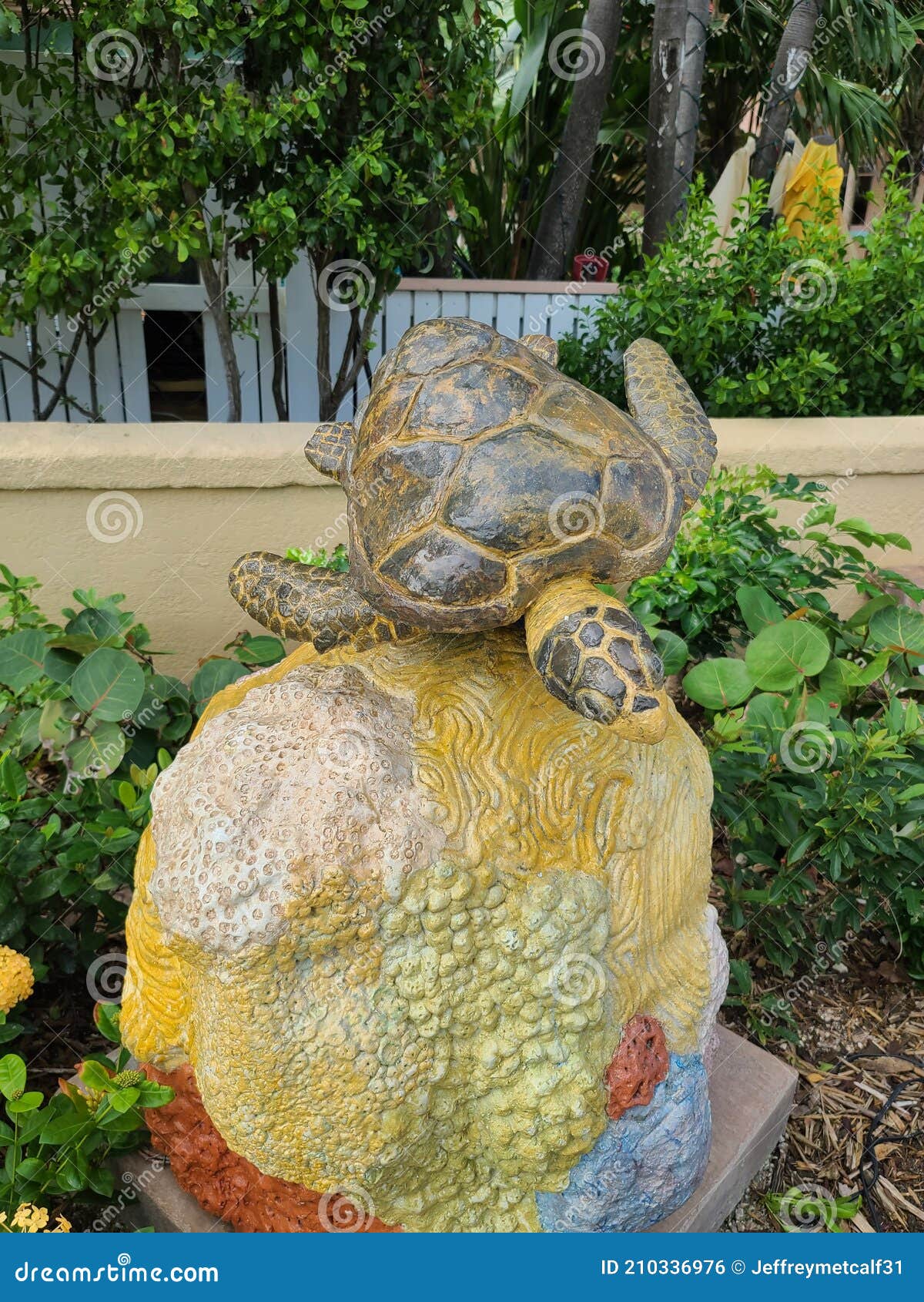 Tropical Sea Turtle Statue stock photo. Image of painting - 210336976