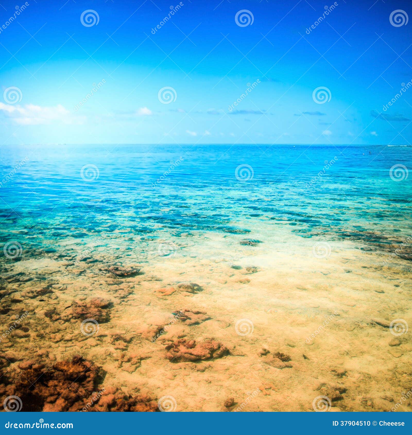 Tropical sea water stock photo. Image of maldives, relax - 37904510