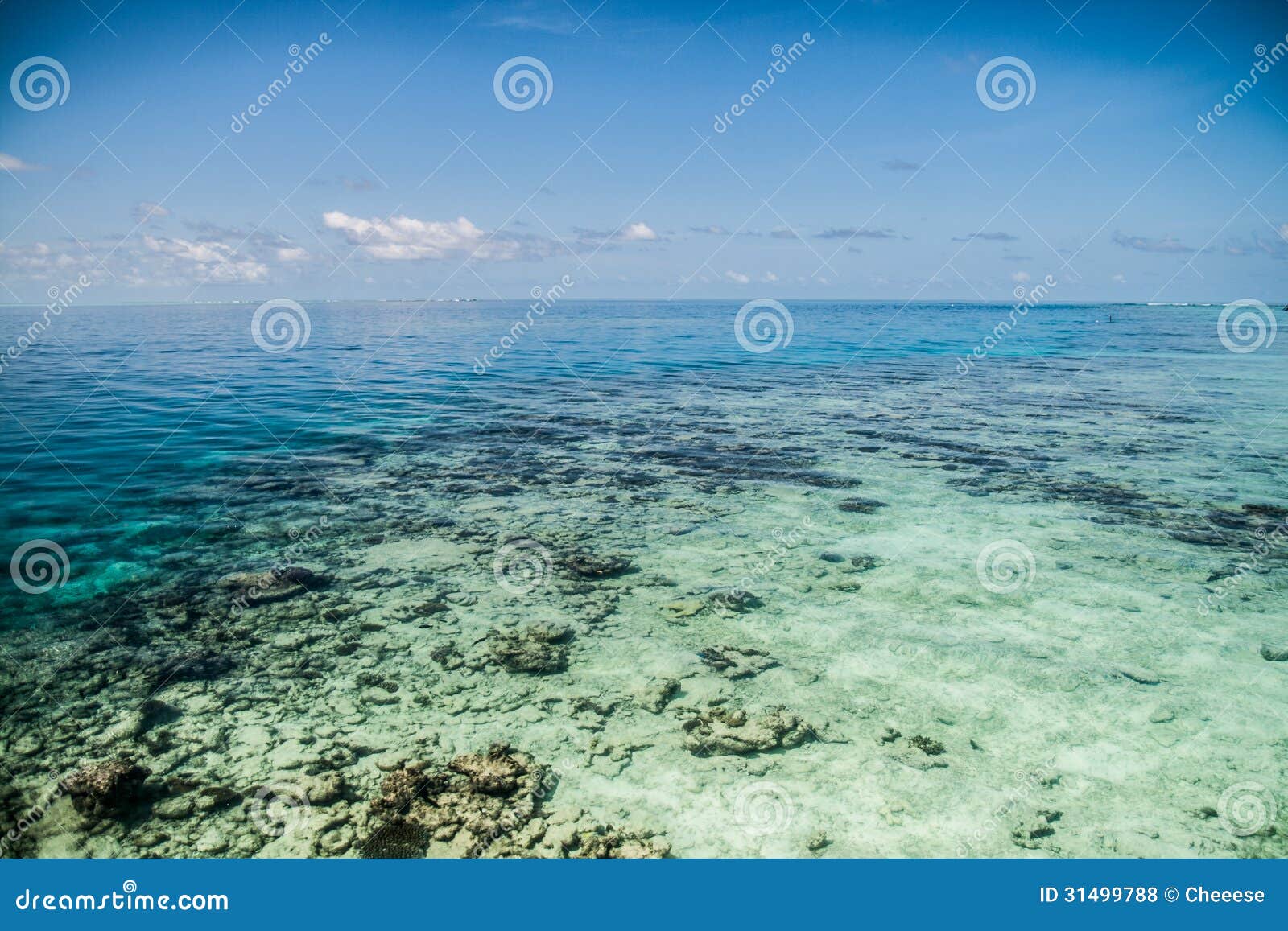 Tropical sea water stock photo. Image of caribbean, hawaii - 31499788