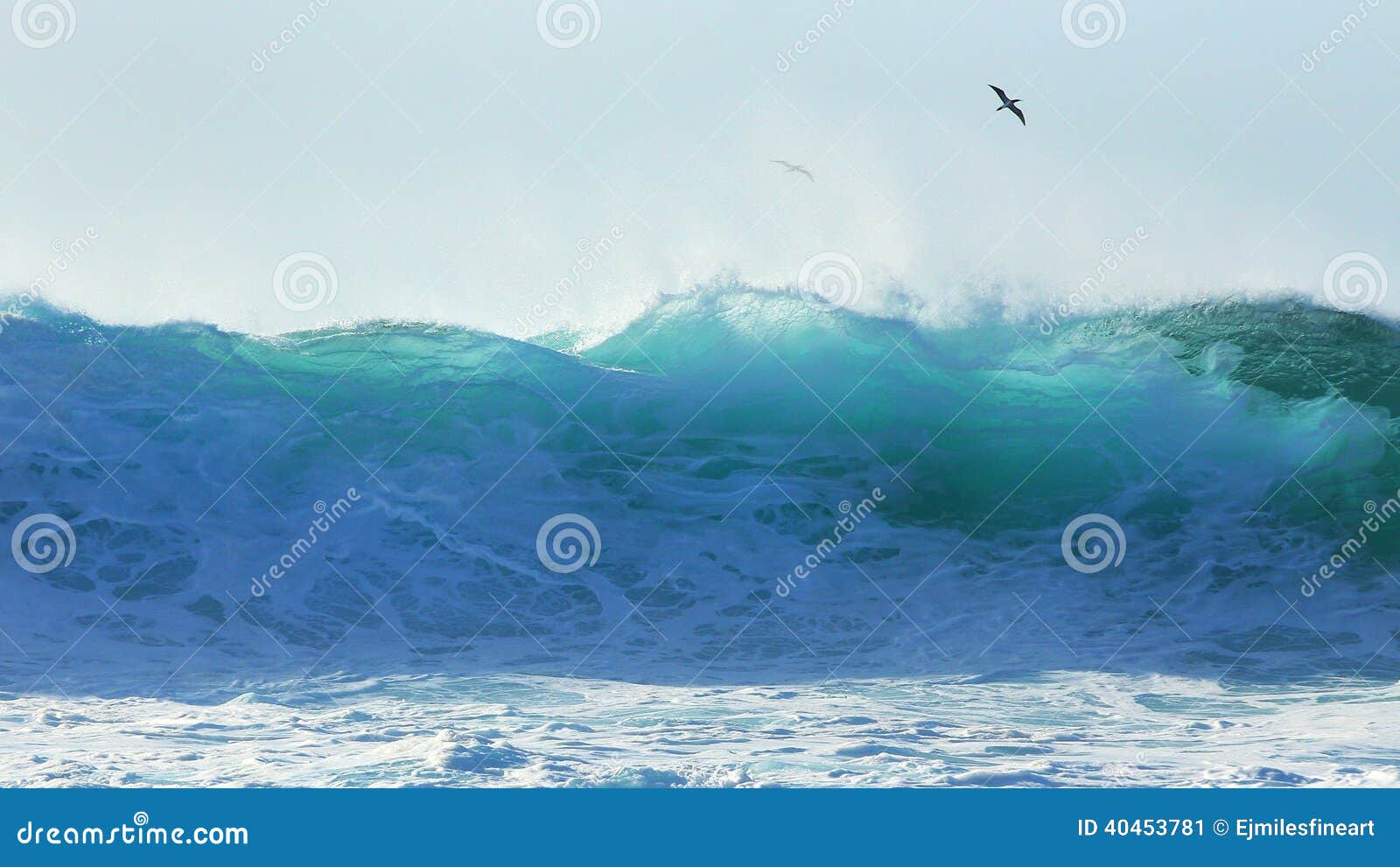 Tropical Seabird Soars Over Pipeline Surf Stock Image - Image of ... Tropical Seabird Soars Over Pipeline Surf Stock Image - Image of ...