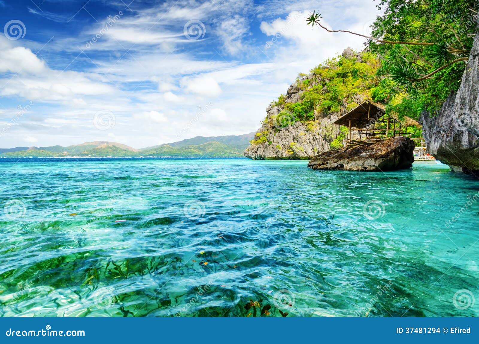 Tropical seashore. stock photo. Image of landscape, seascape - 37481294