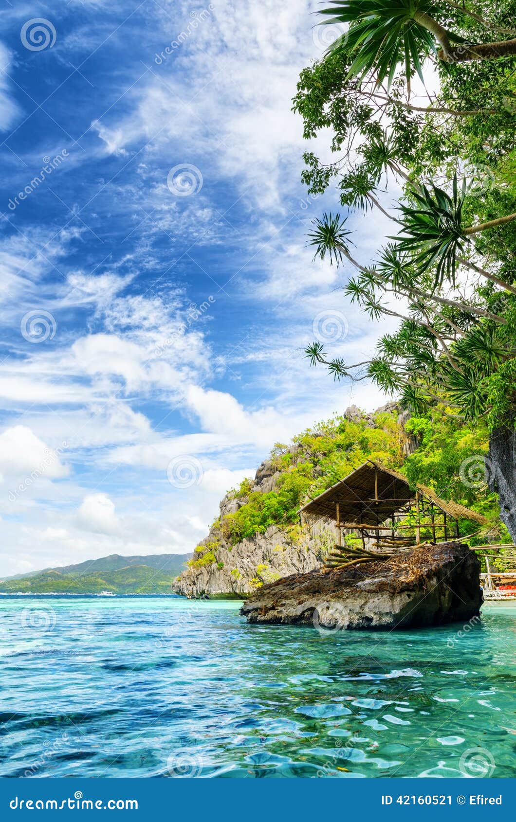 Tropical Seashore. Palawan Province, Philippines Stock Image - Image of ...