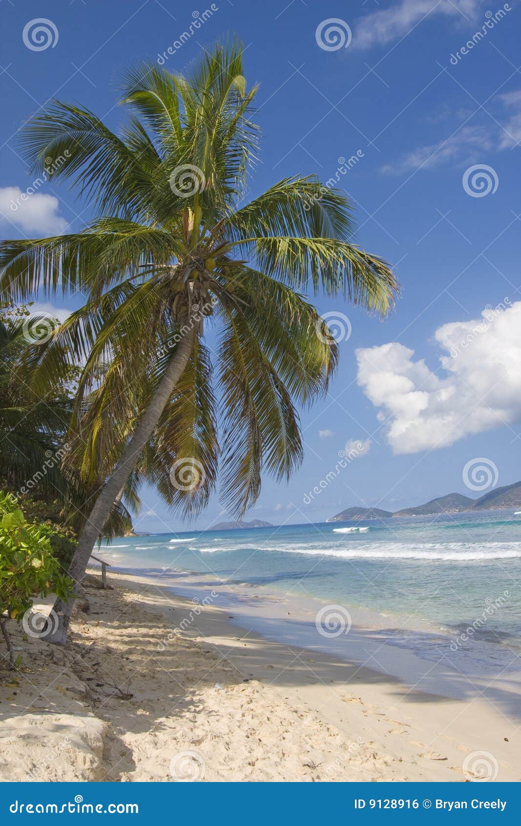 Tropical setting stock photo. Image of holiday, beach - 9128916