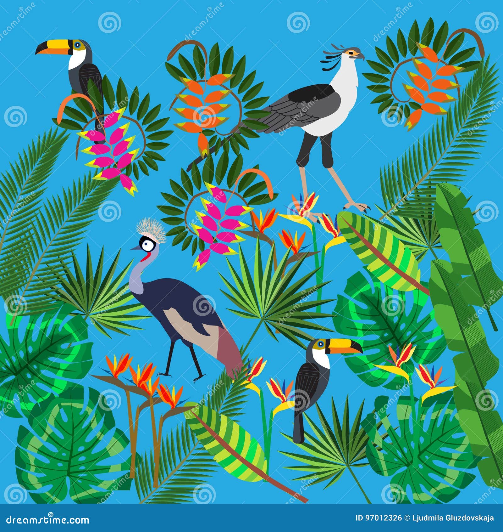 African Birds - South African Hawk Eagle - Kruger National Park Vector ...