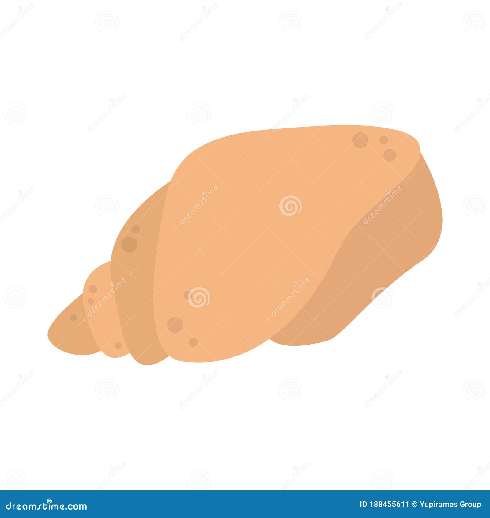 Tropical Shell Aquatic in Flat Style Isolated Icon Stock Vector ...