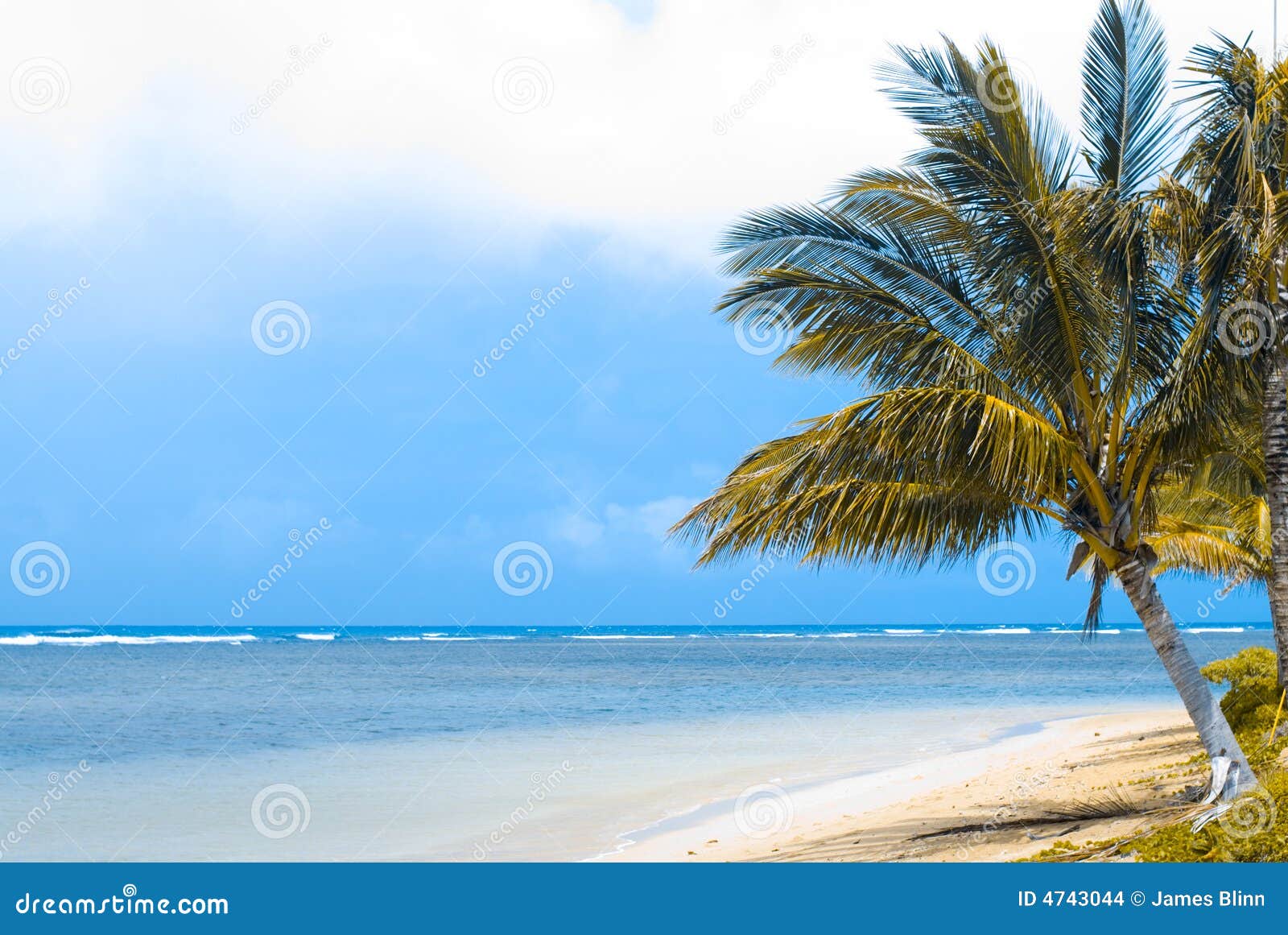 Tropical Shore stock photo. Image of copy, beautiful, coast - 4743044