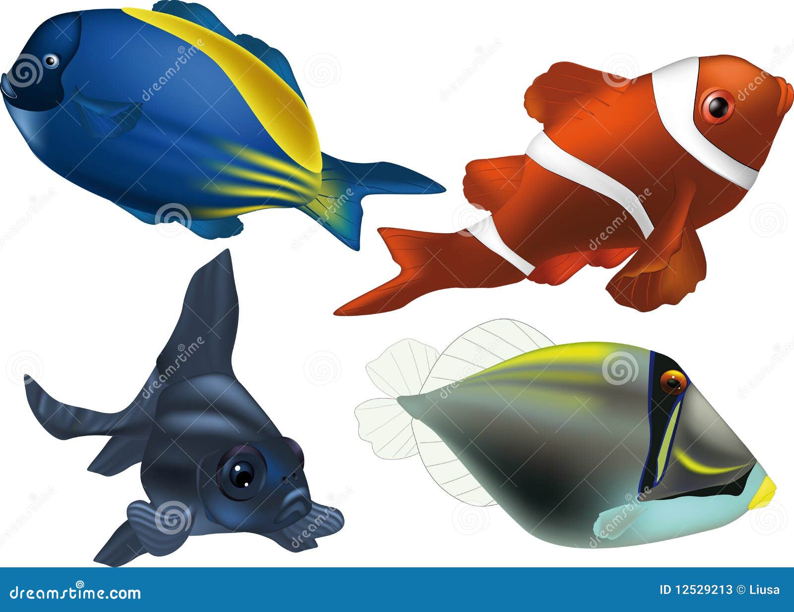 Tropical small fish stock vector. Illustration of objects - 12529213