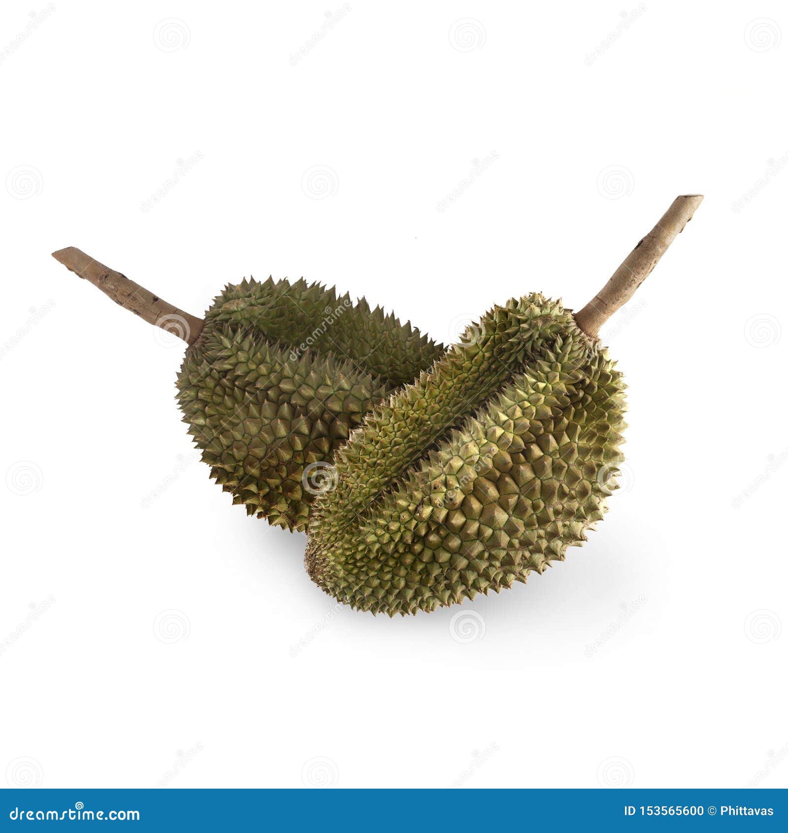 Tropical Smelly Fruit : Durian Fruit Isolate on White Background Stock ...