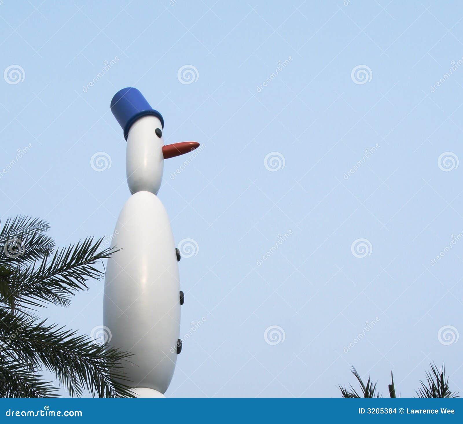Tropical Snowman stock photo. Image of tropics, vacation - 3205384