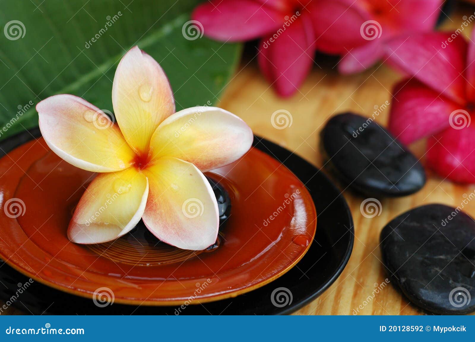 Tropical spa stock photo. Image of flower, fragrance - 20128592