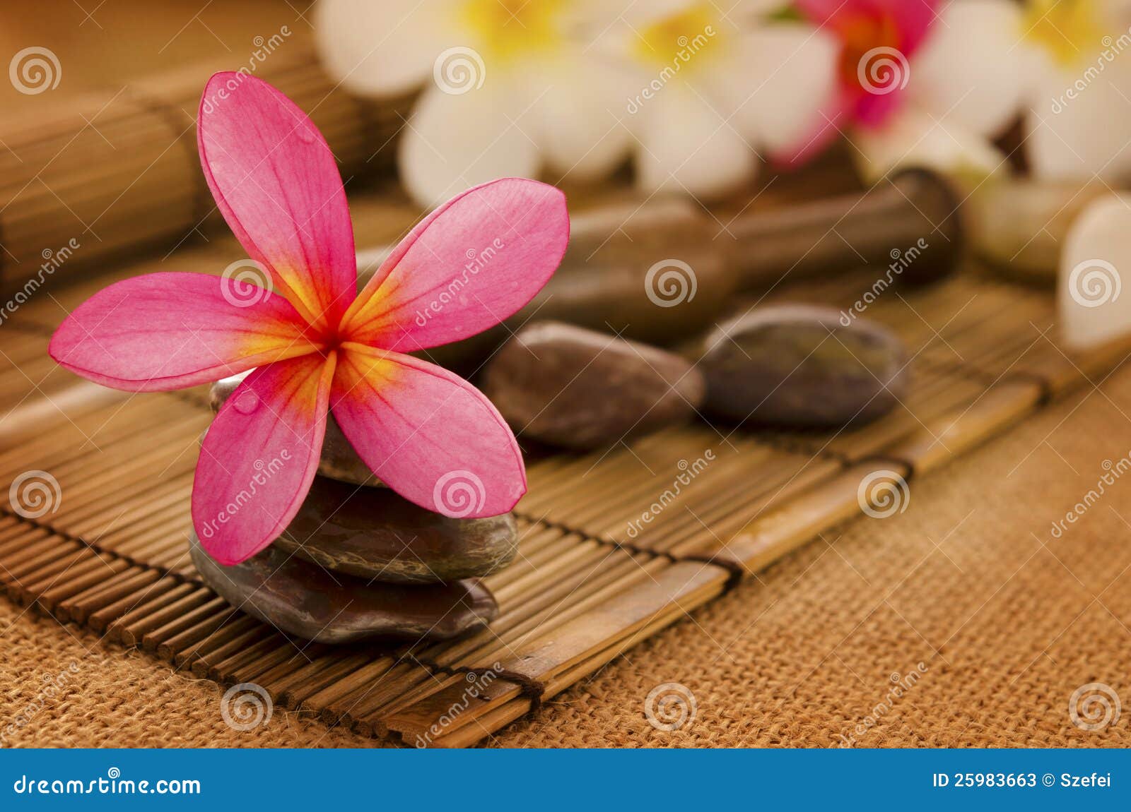 Tropical spa stock image. Image of relaxing, aroma, nature - 25983663