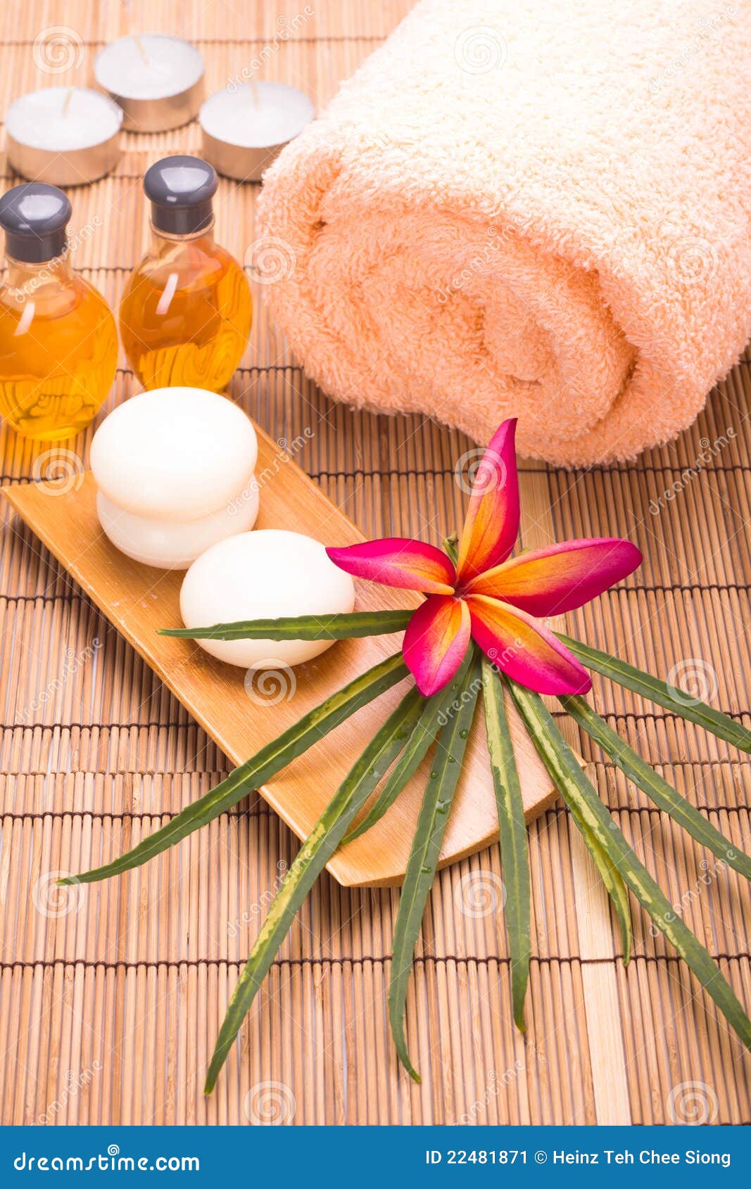 Tropical spa concept stock image. Image of natural, bottle - 22481871