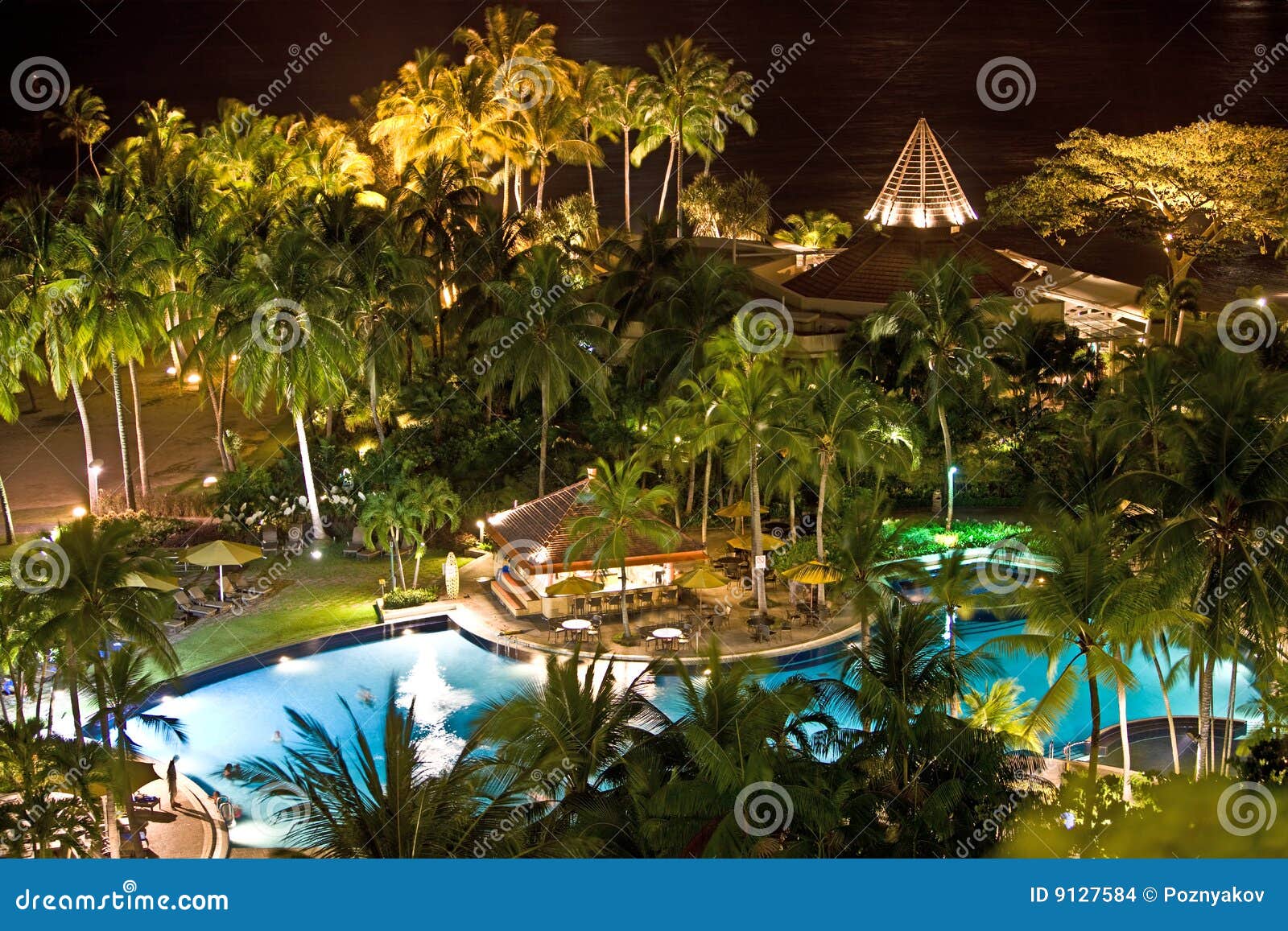 Tropical Spa Resort. Night Landscape. Stock Photo - Image of palm ...