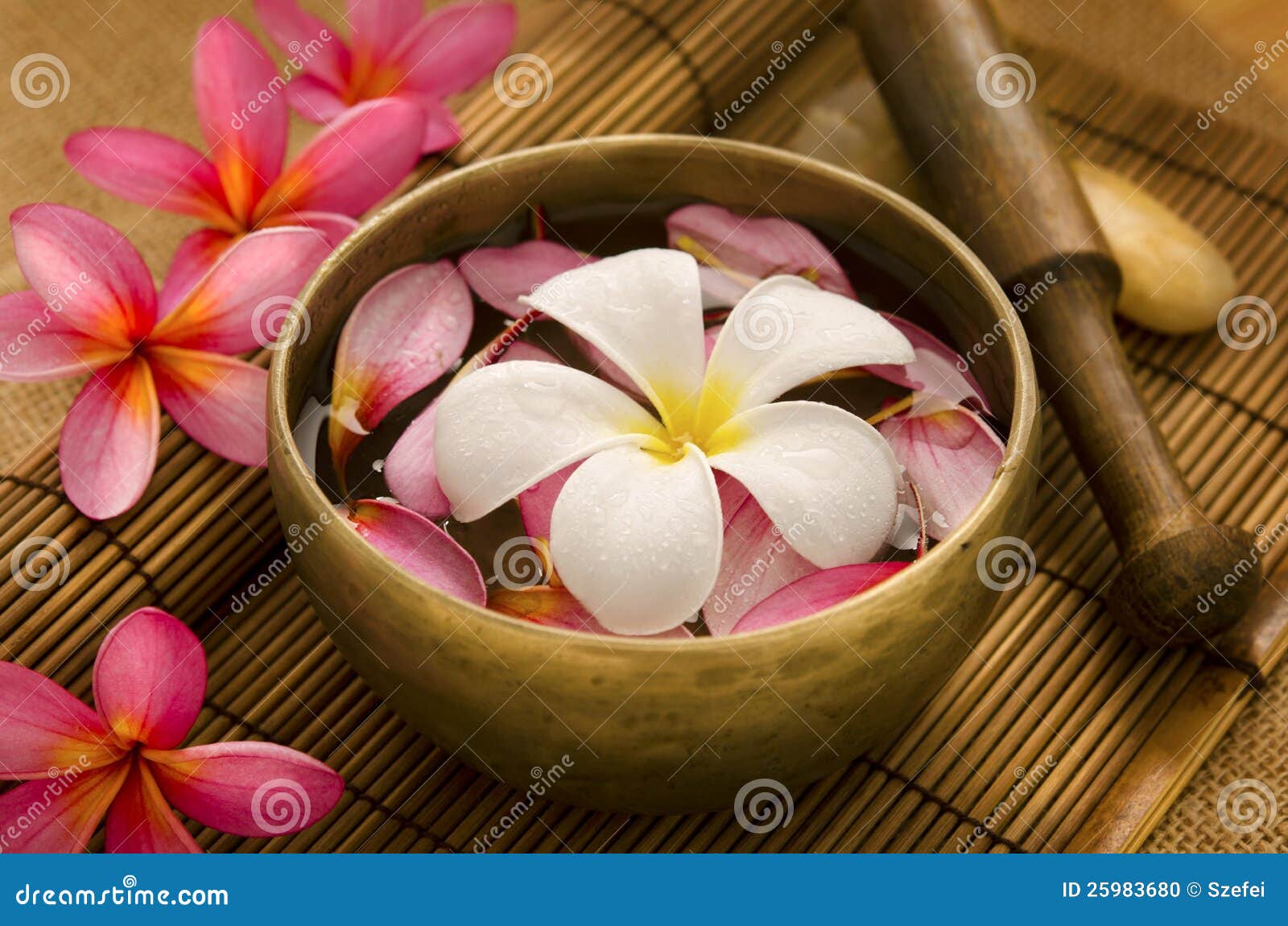 Tropical spa retreat stock photo. Image of rejuvenate - 25983680
