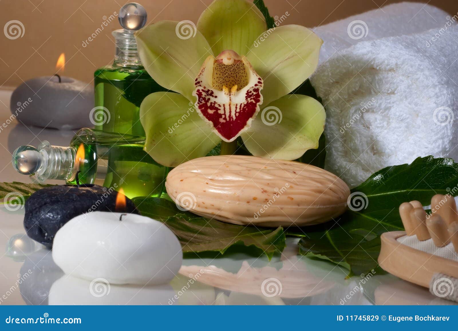 Tropical spa set stock image. Image of leaves, relaxation - 11745829