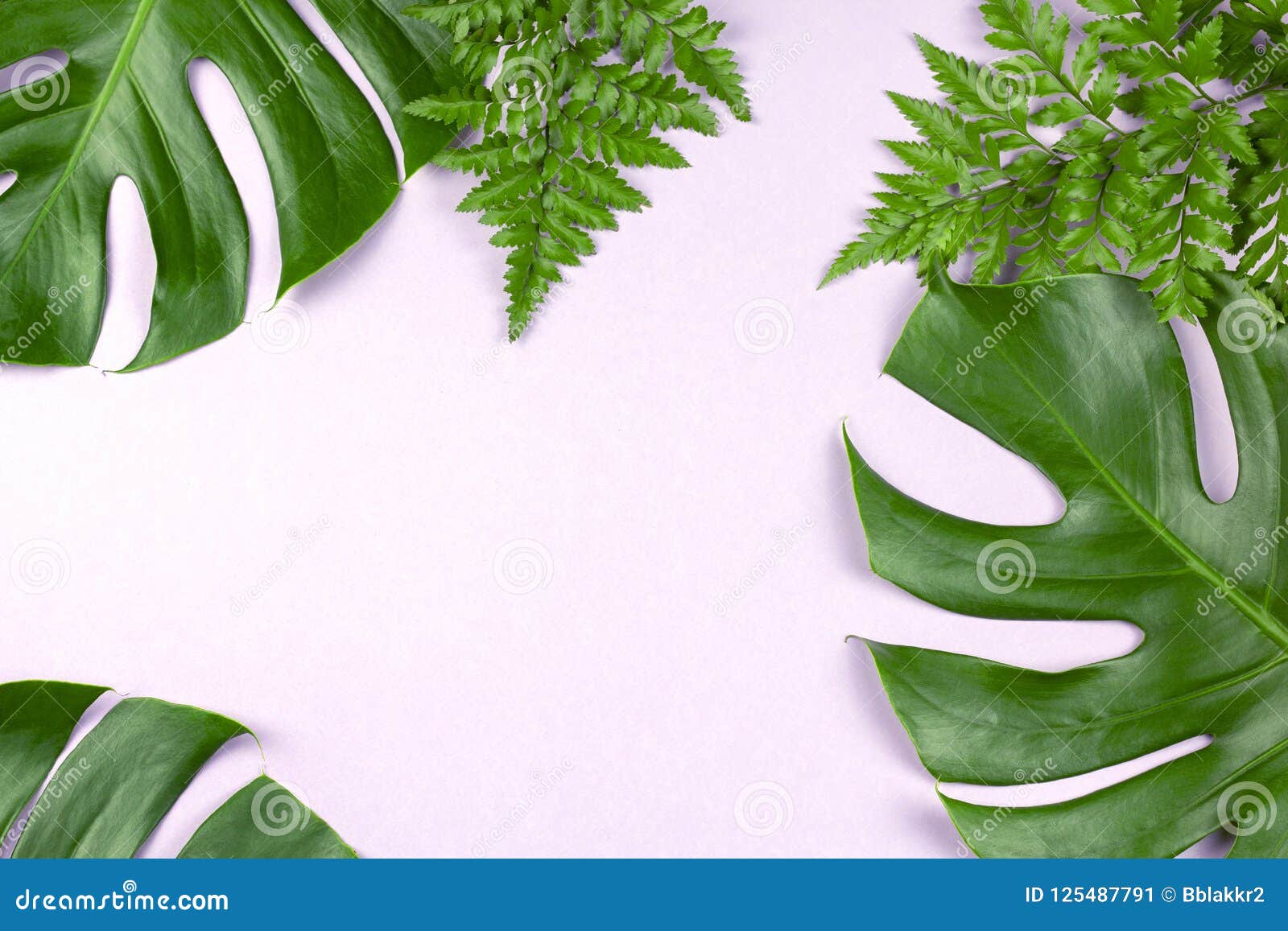 Tropical Split Leaves and Fern on Pastel Pink Background Stock Image ...