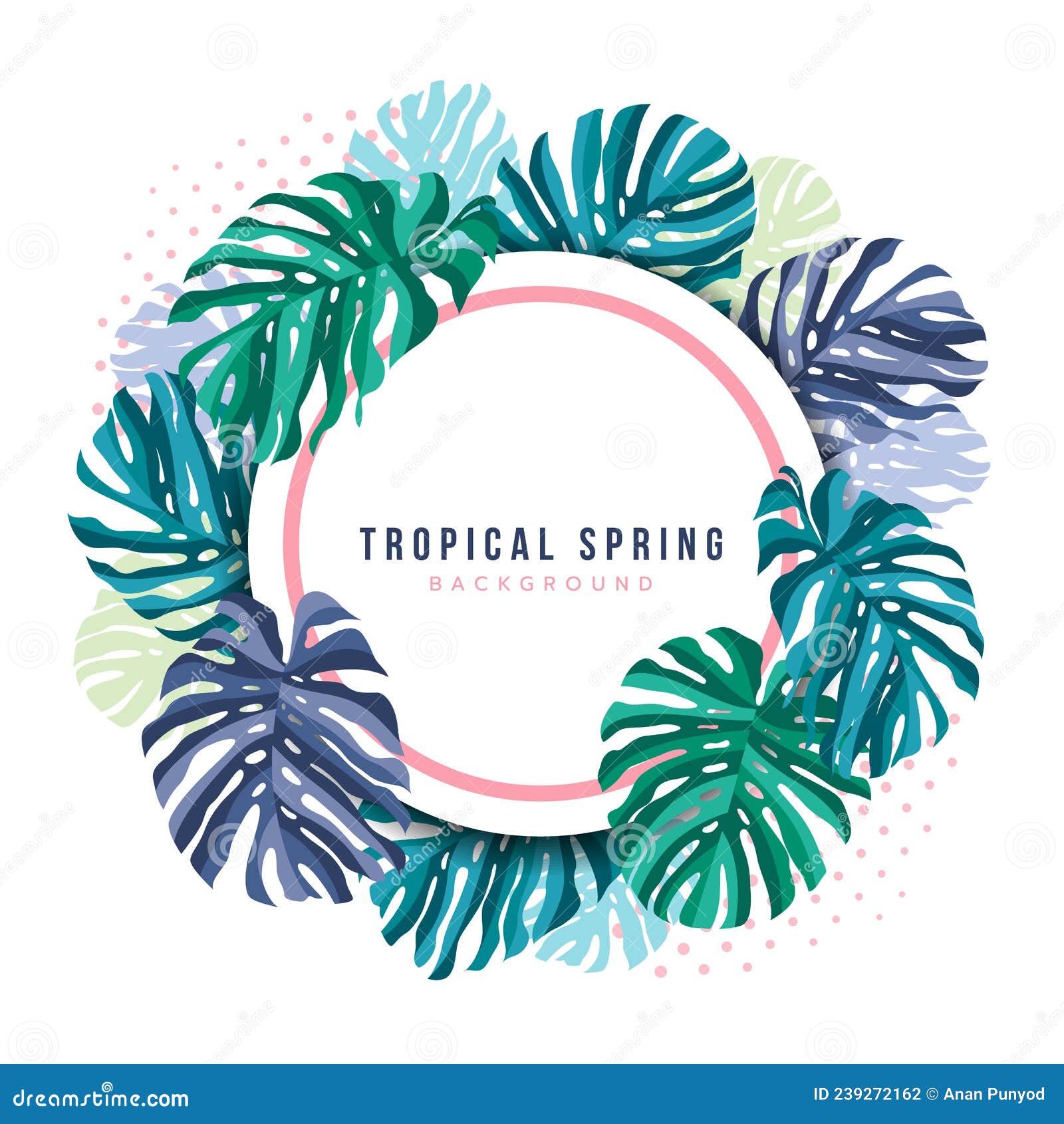 Tropical Spring Background Wit - Monstera Leaves Around And Circle ...