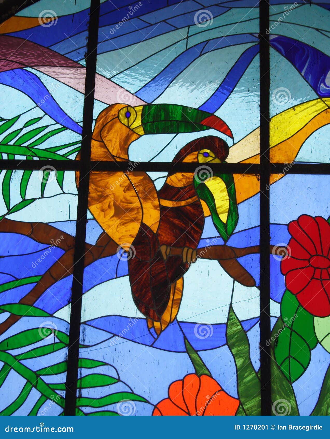 Tropical Stained Glass Window Stock Image - Image of vacation, parrot ...