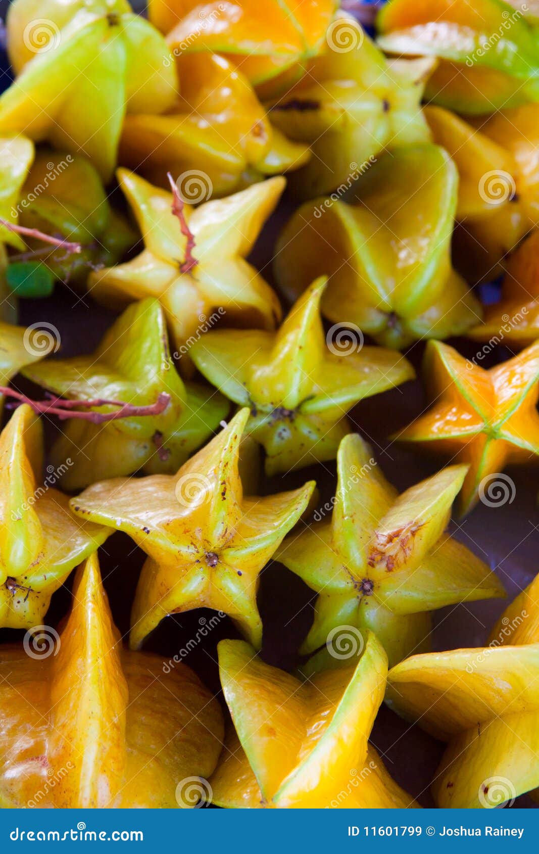 Tropical Star Fruit stock image. Image of nature, starfruit - 11601799