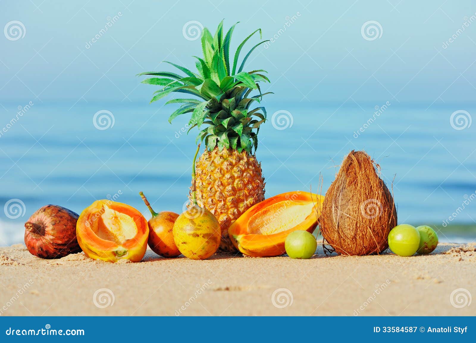 Tropical still life stock image. Image of scenic, shore - 33584587