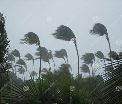 Tropical storm stock image. Image of hazy, wind, season - 9404295