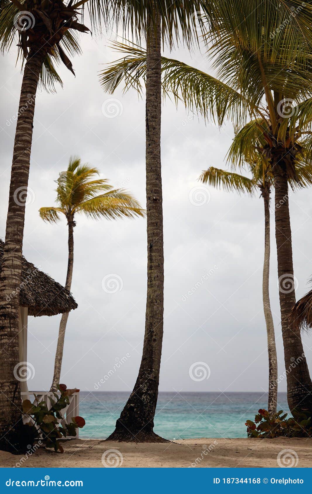 Tropical Storm is Coming at the Empty Beach Stock Photo - Image of ...