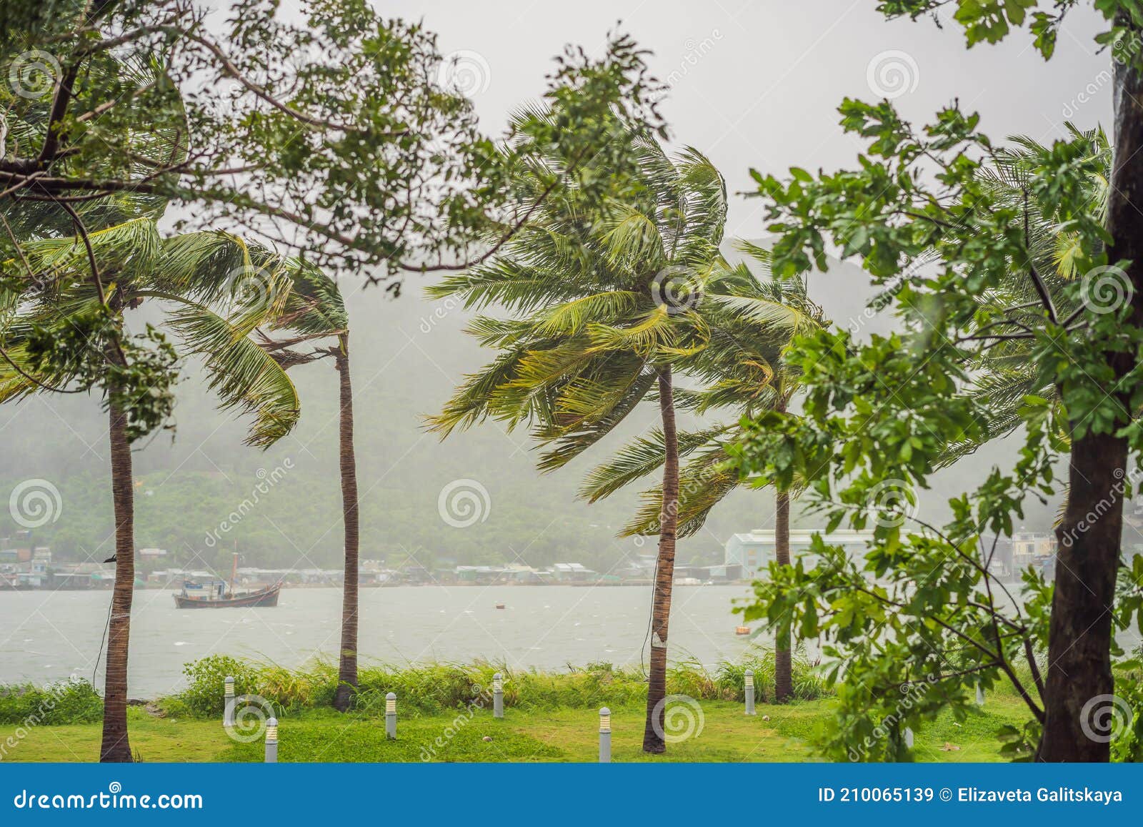 Tropical Storm, Heavy Rain and High Winds in Tropical Climates Stock ...