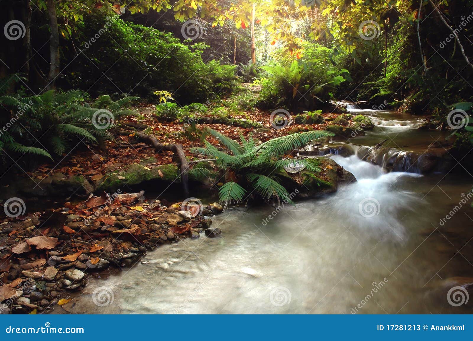 Tropical stream stock image. Image of splash, rain, recreation - 17281213