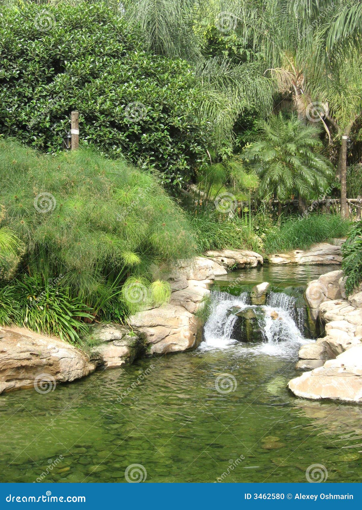 Tropical Stream Picture. Image: 3462580