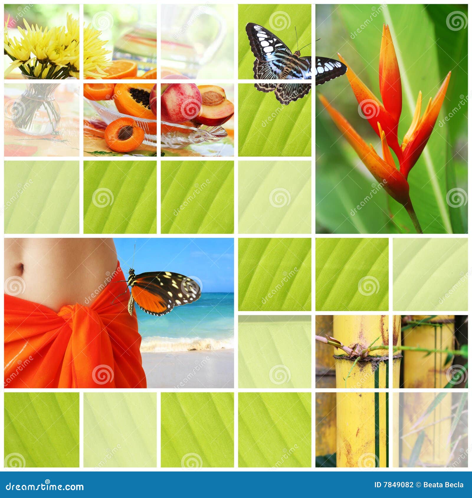 Tropical summer collage stock photo. Image of environment - 7849082