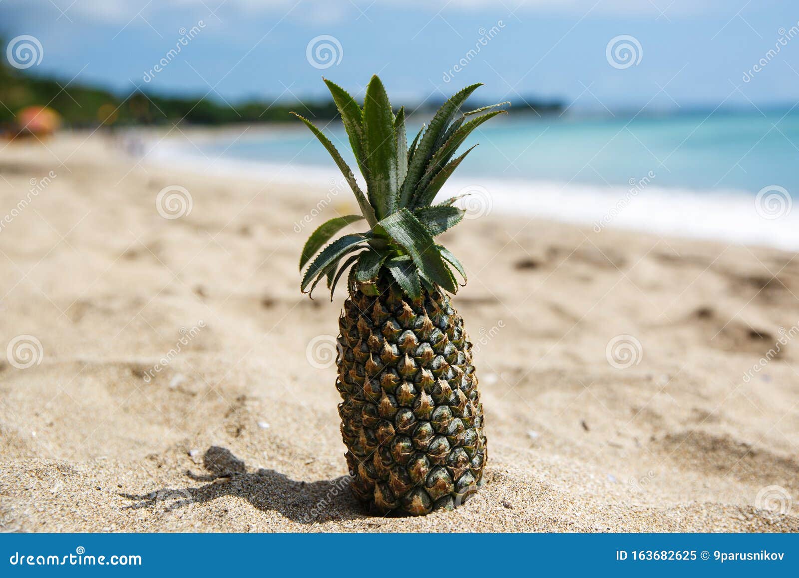 Tropical Summer. Fresh Pineapple on the Beach Stock Image - Image of ...
