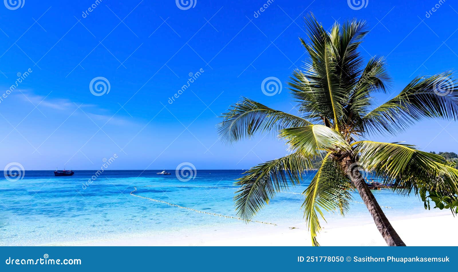 The Tropical Summer Palm Tree on the Beach and Sandy Beach and Ocean ...