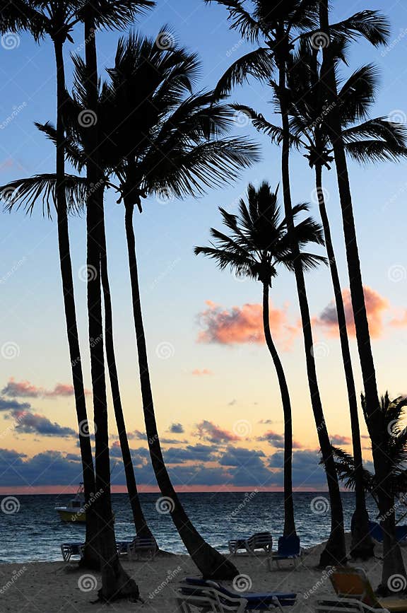 Tropical sunrise stock image. Image of peaceful, destination - 4838697