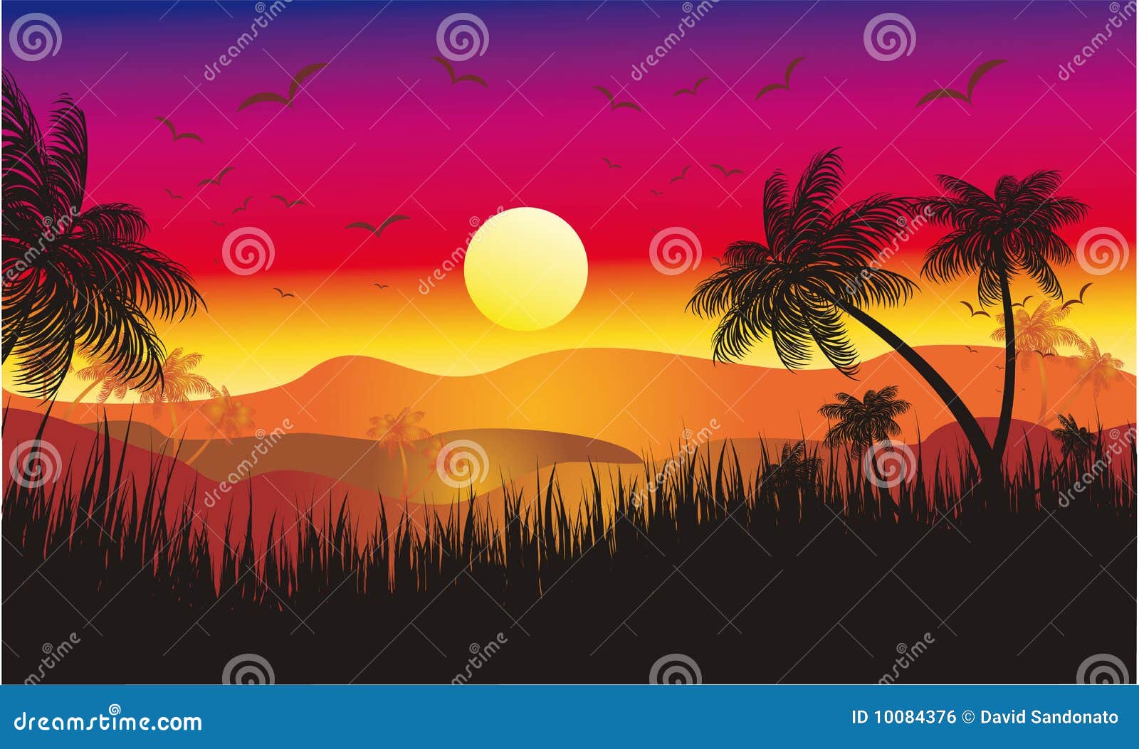 Tropical Sunset Vector Illustration | CartoonDealer.com #10022108