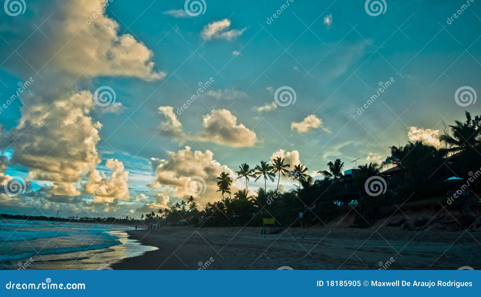 Tropical Sunset at the Beach Stock Image - Image of lonely, palm: 18185905