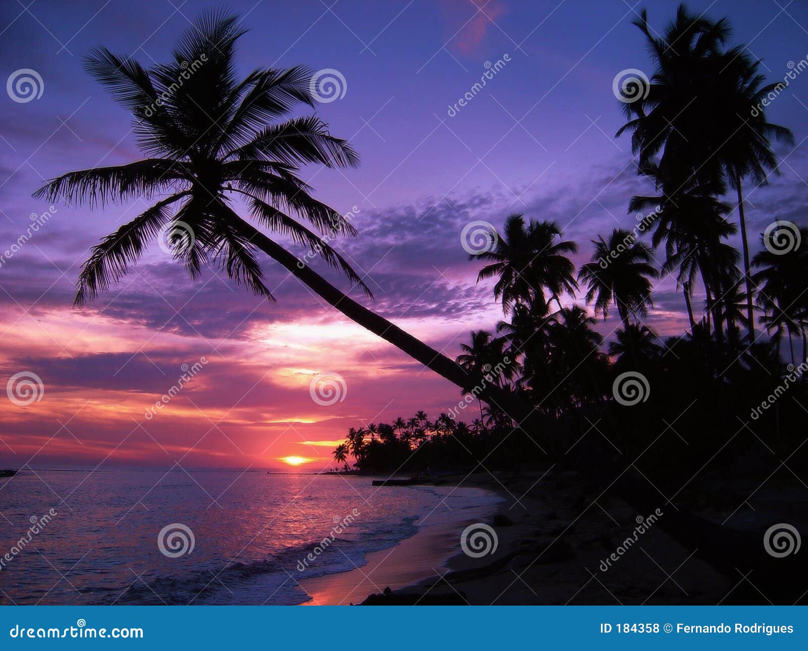 Tropical sunset stock photo. Image of beach, tropical, palm - 184358