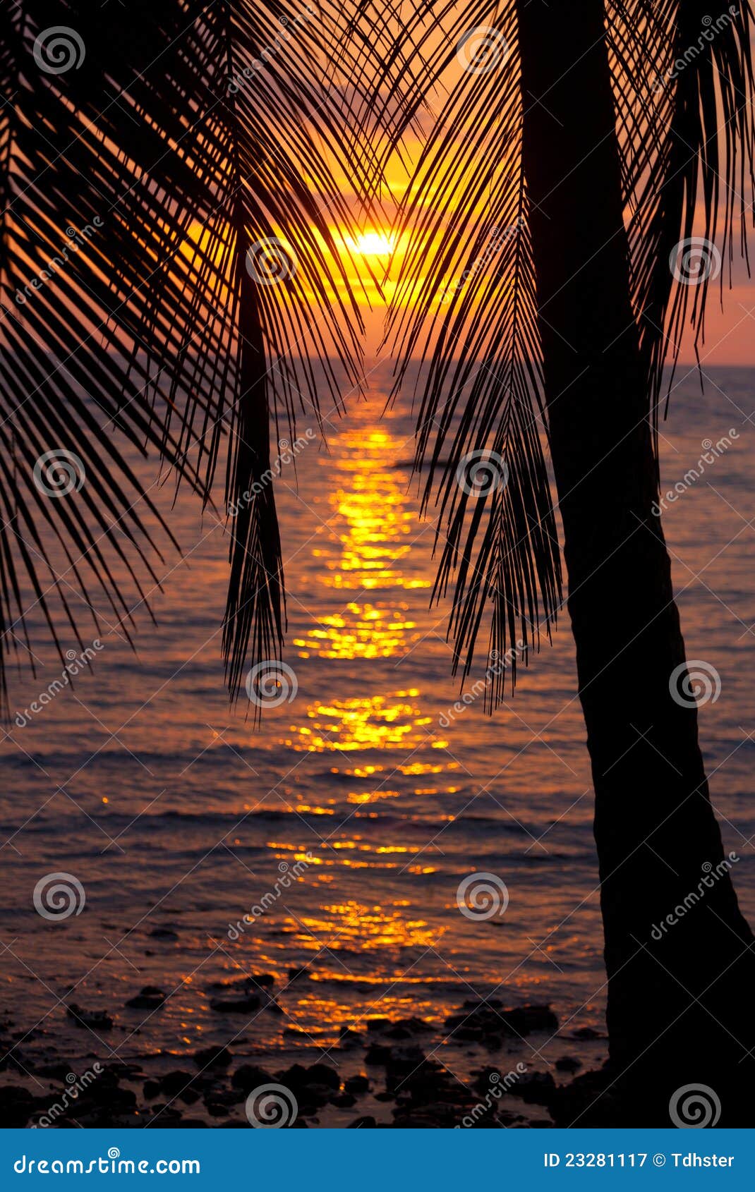 Tropical sunset stock image. Image of summer, relax, resort - 23281117