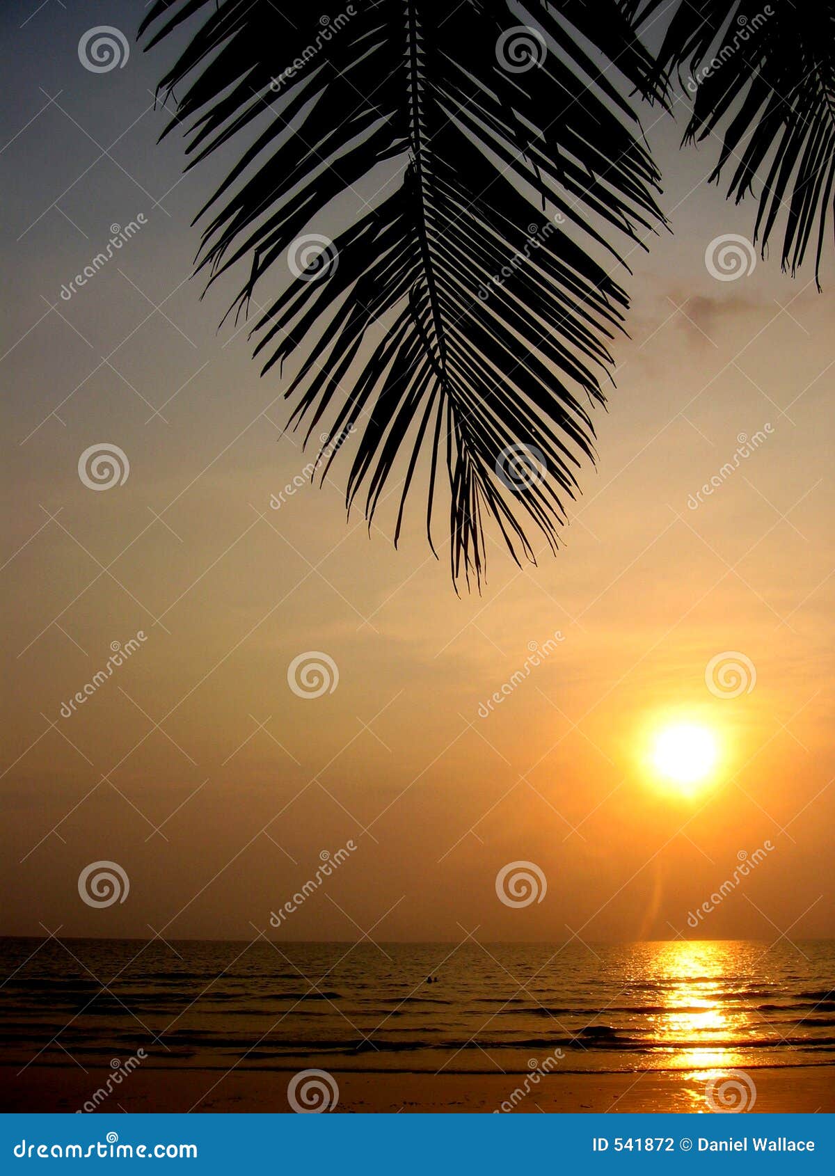 Tropical sunset stock photo. Image of ocean, tourism, tree - 541872