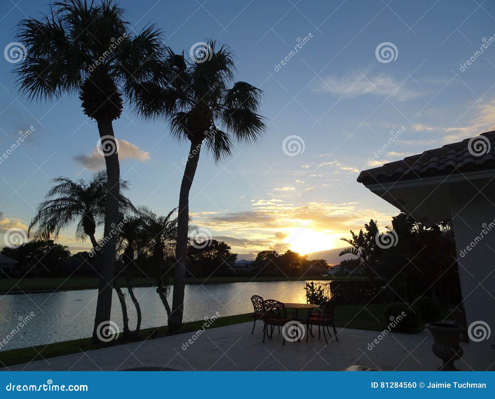 Tropical Sunset in a Backyard with Trees and Water Stock Photo - Image ...
