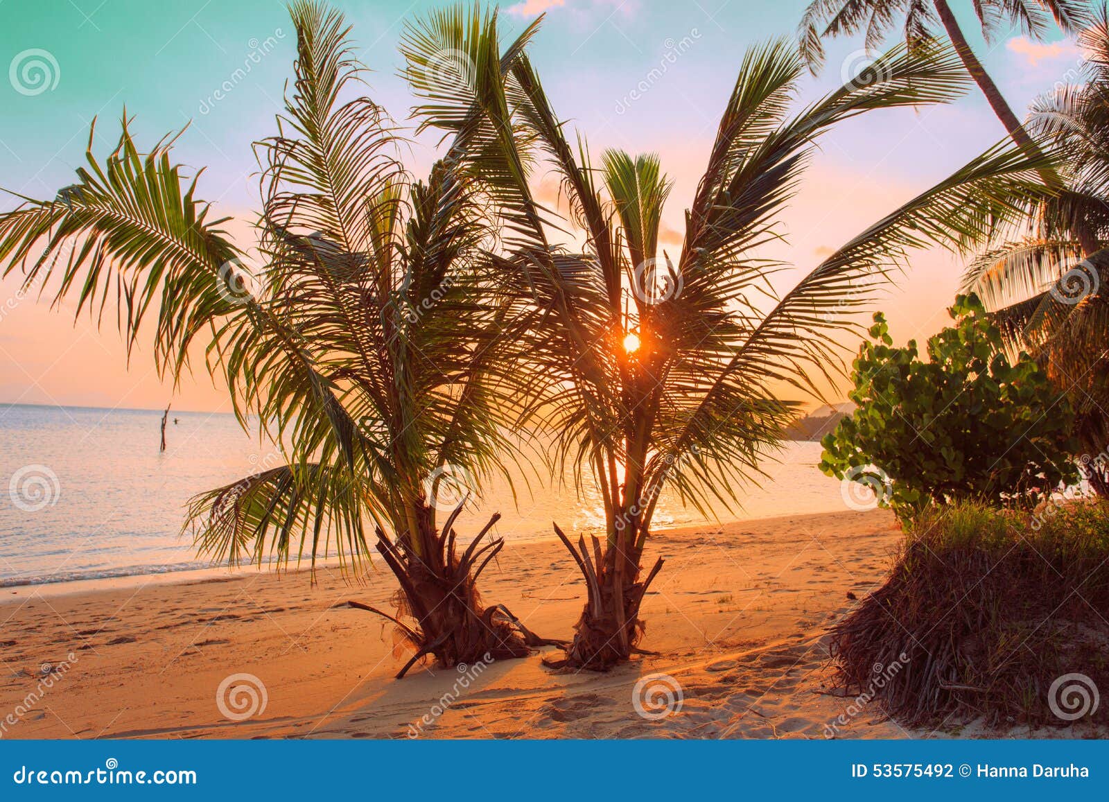 Tropical Sunset Beach. Thailand, Koh Samui. Stock Photo - Image of palm ...
