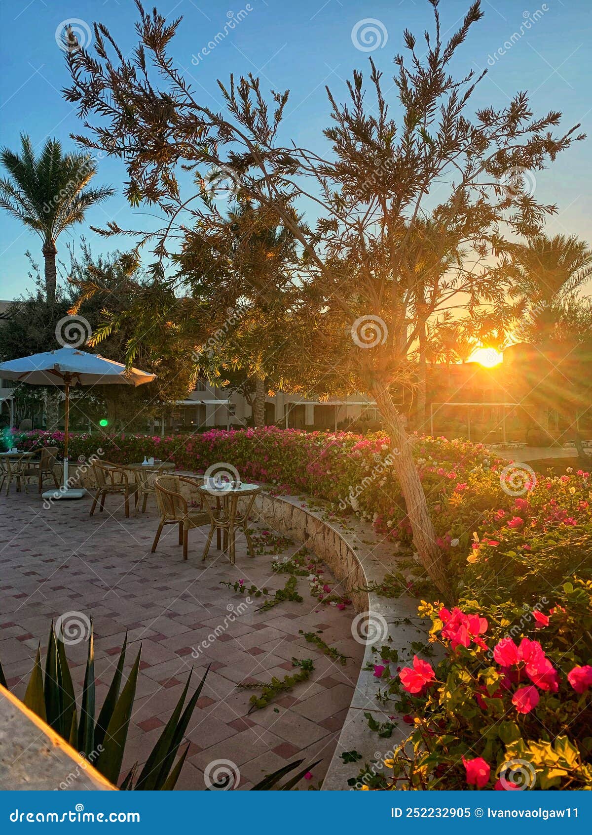 Tropical sunset cafe stock image. Image of flowers, palm - 252232905