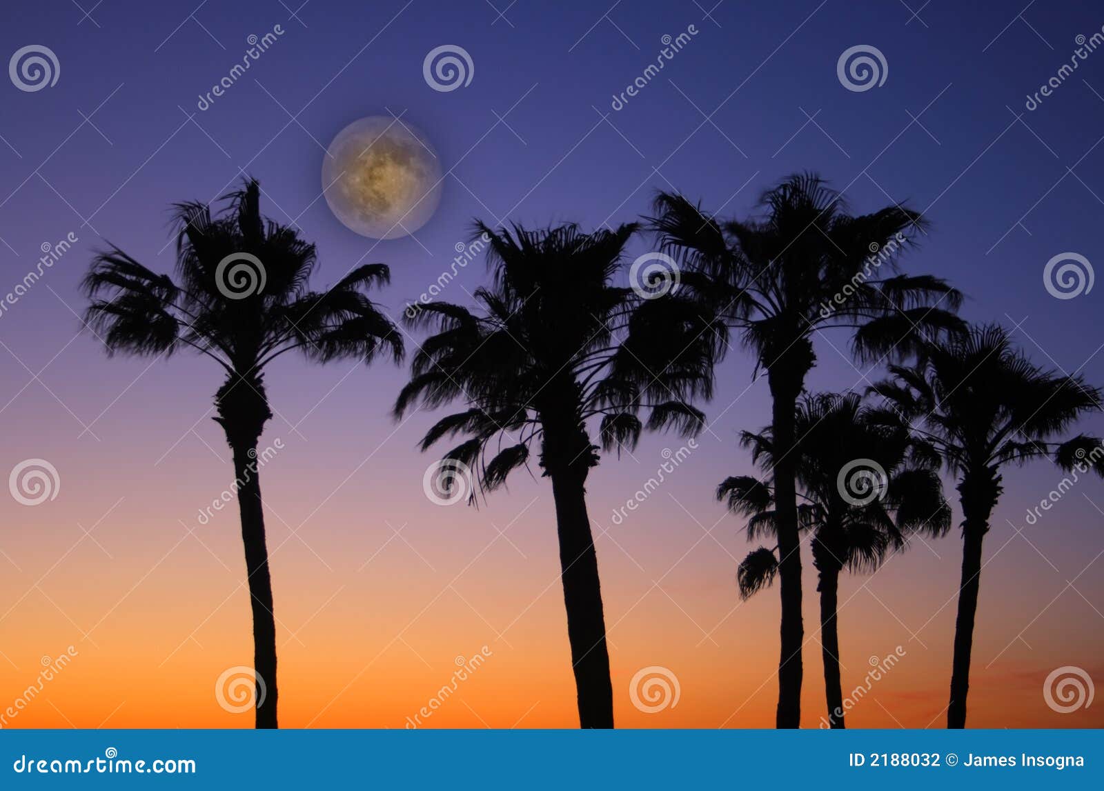 Tropical Sunset with Full Moon Stock Photo - Image of travel, scenic ...