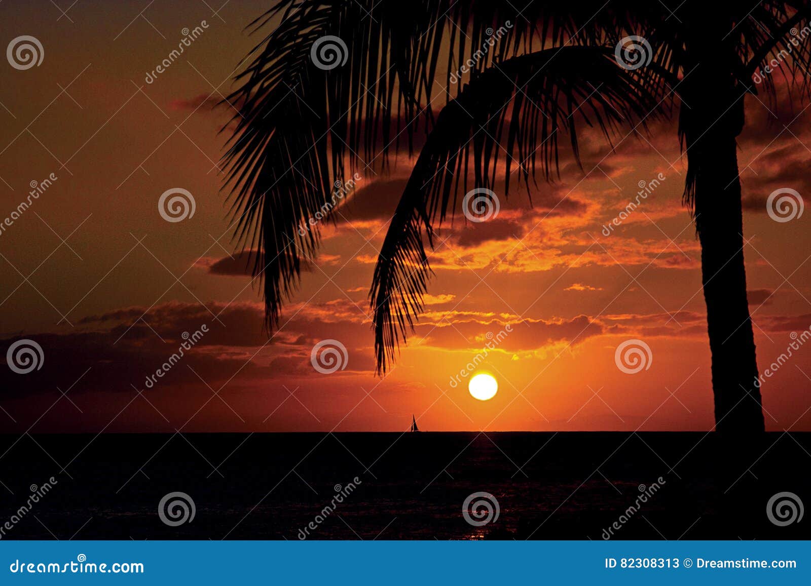 Tropical Sunset in Hawaii stock image. Image of pacific - 82308313