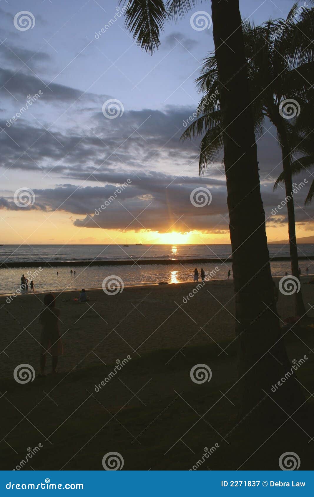 Tropical Beach Sunset, Hawaii, USA Stock Image - Image of nature ...