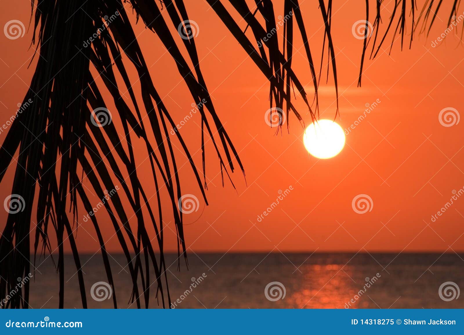 Tropical sunset over sea stock image. Image of colored - 14318275