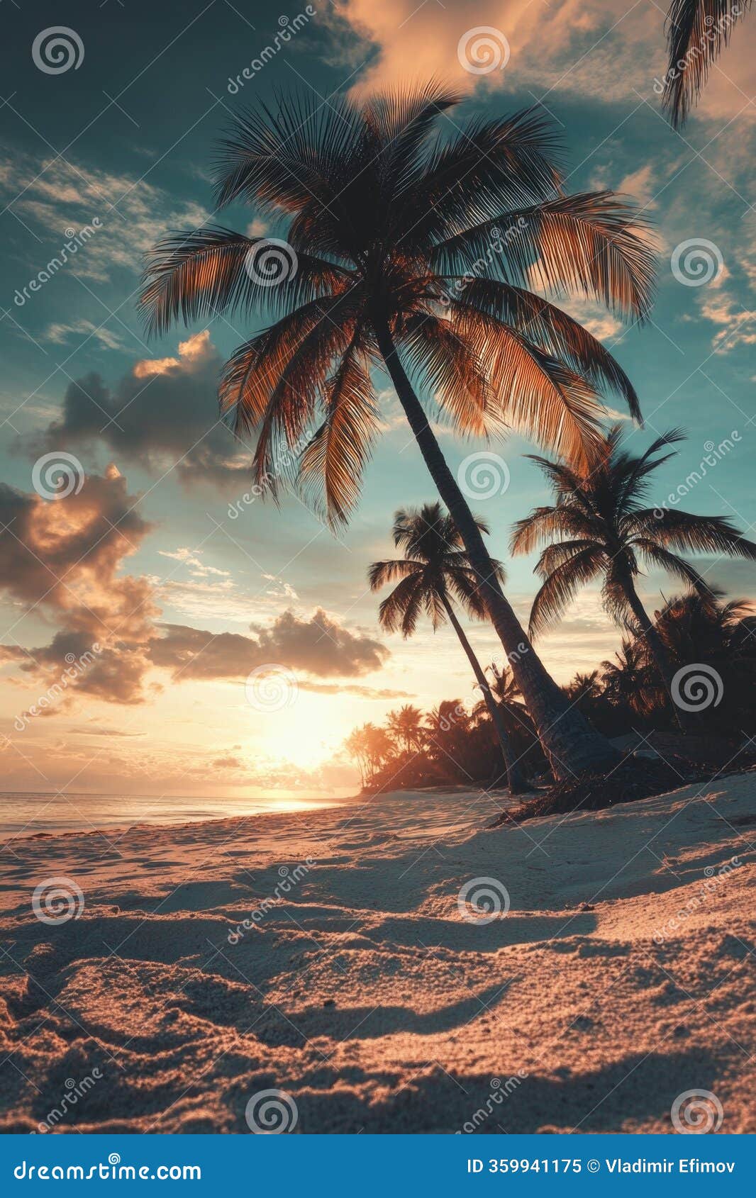 Tropical Sunset on Palm Tree Beach Stock Image - Image of relaxation ...