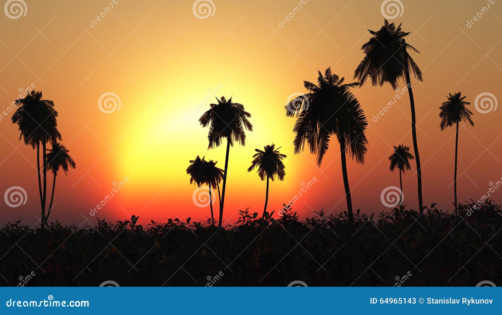 Tropical Sunset, Palm Tree in the Sun Stock Image - Image of scene ...