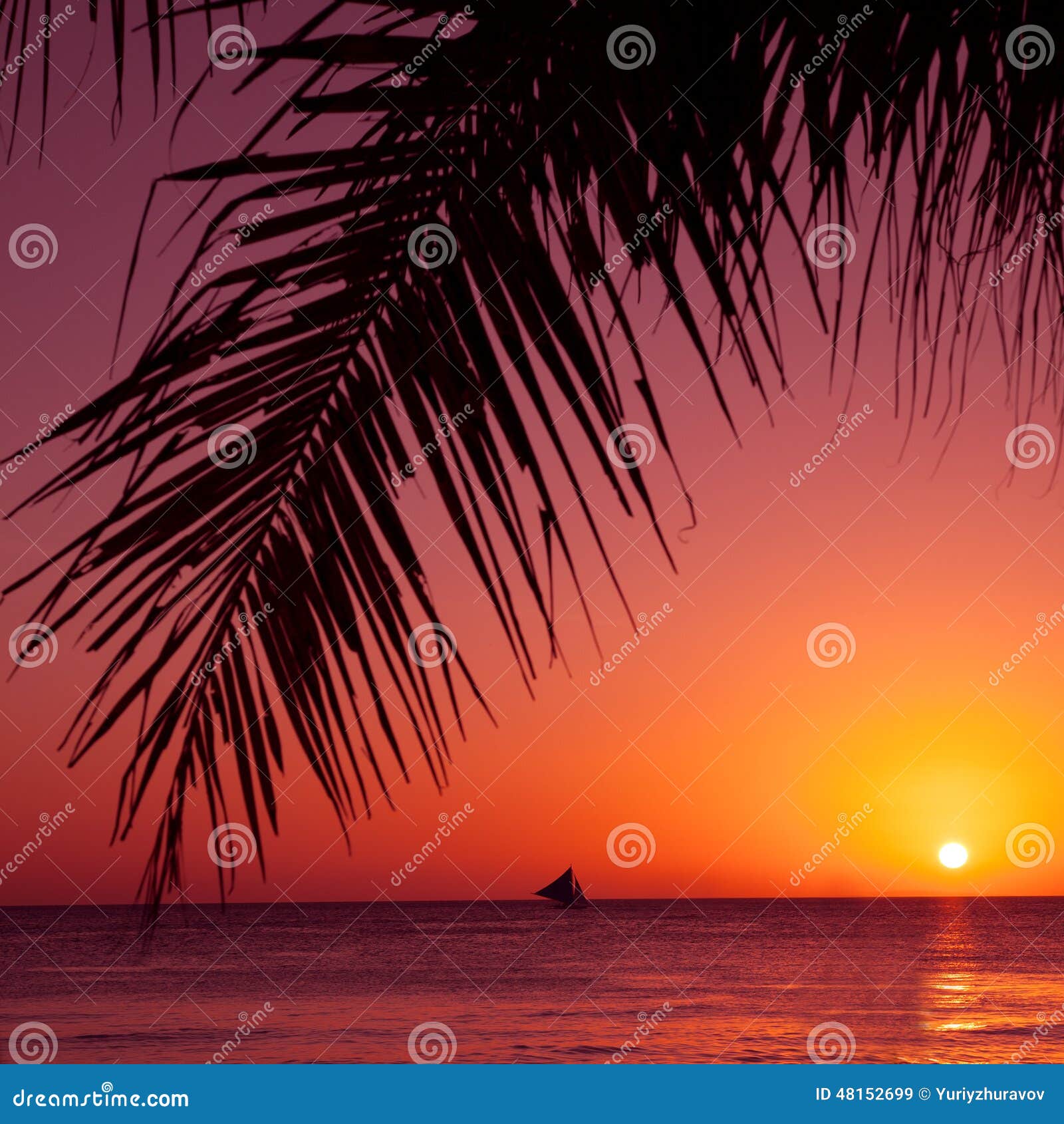 Tropical Sunset. Sea, Palm and Sun. Stock Image - Image of sand ...